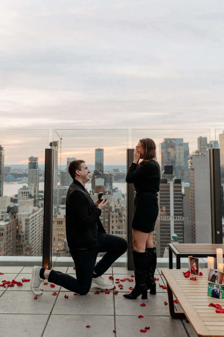 A Surprise Nyc Rooftop Proposal